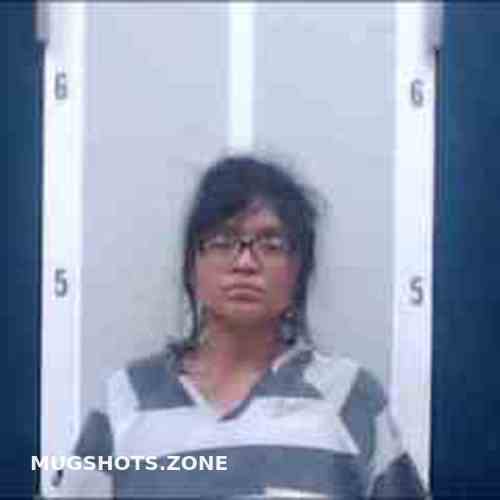 ERICA ALONZO 07/09/2024 - DeKalb County Mugshots Zone