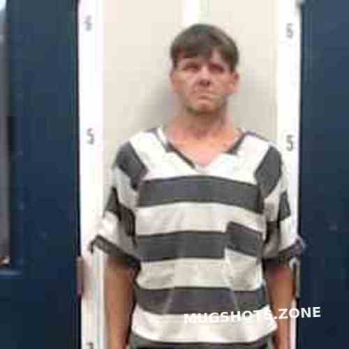 RICKY COLLINS 11/02/2024 - DeKalb County Mugshots Zone
