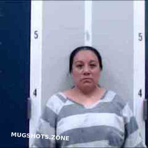 AMELIA RIVERA 11/28/2024 - DeKalb County Mugshots Zone