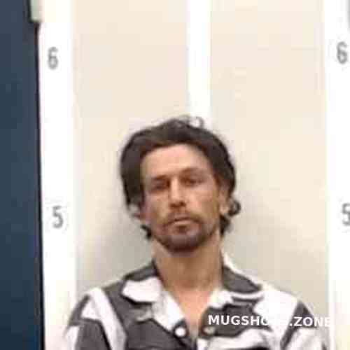 DAVID TANNER 02/20/2025 - DeKalb County Mugshots Zone