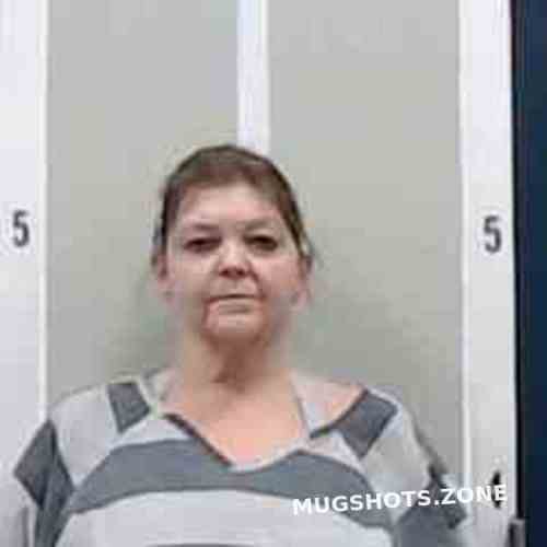 LISA JEAN MCKINNEY 12/15/2025 - DeKalb County Mugshots Zone