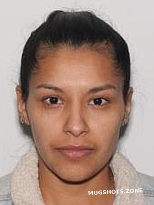 NELSON MARIA D 03/30/2021 - DeKalb County Mugshots Zone