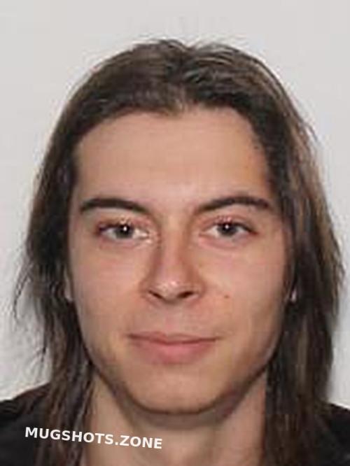 DALY SKYLER DAVID 03/03/2022 - DeKalb County Mugshots Zone
