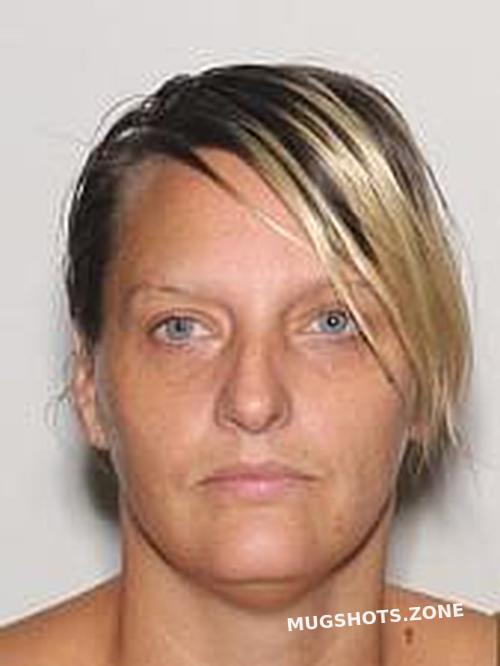 SHADLE ELIZABETH A 11/13/2022 - DeKalb County Mugshots Zone