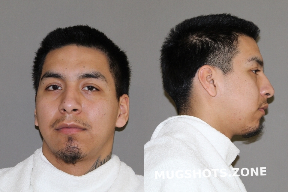 MARIN GABRIEL ISAIAH 01/25/2021 - Denton County Mugshots Zone
