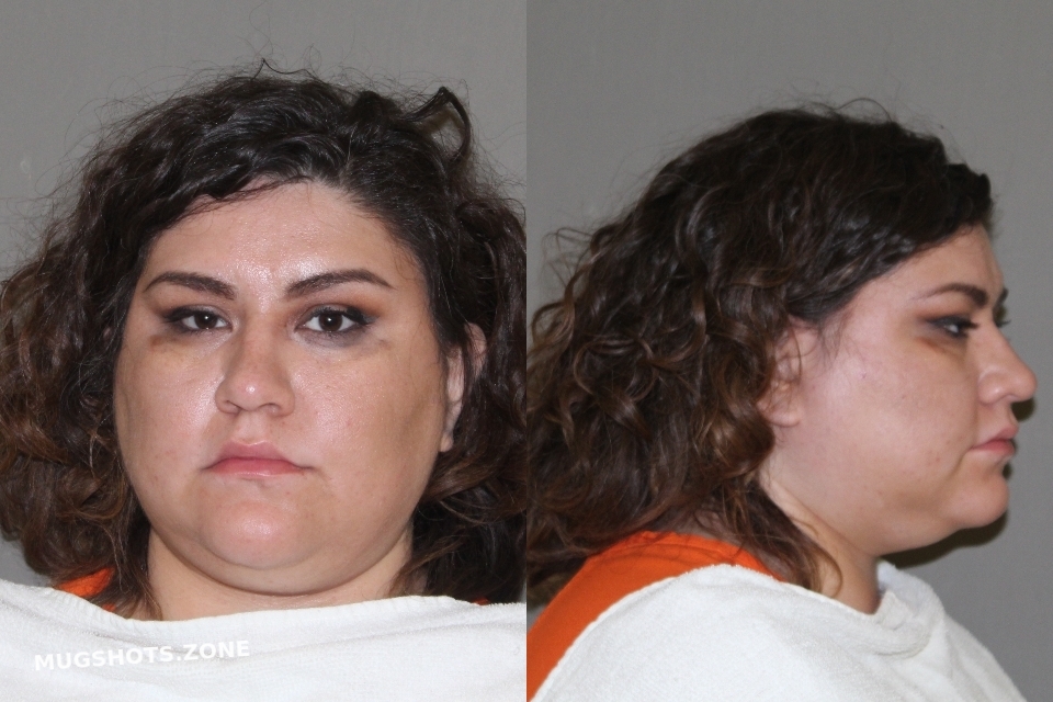 REYNA ALYSSA MERCEDES 02/14/2021 - Denton County Mugshots Zone