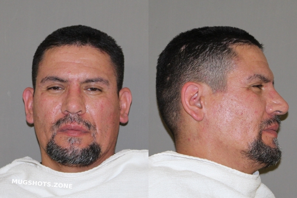 PICHARDO DOMINIC 04/18/2021 - Denton County Mugshots Zone