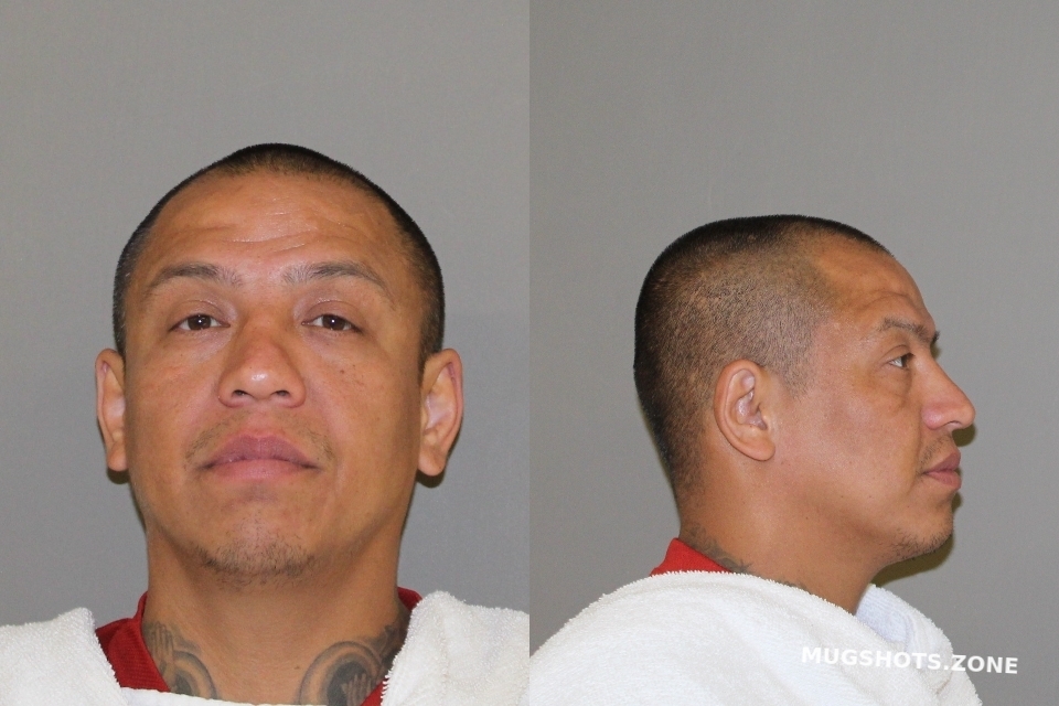 LUNA MARTIN JR. 05/23/2021 - Denton County Mugshots Zone