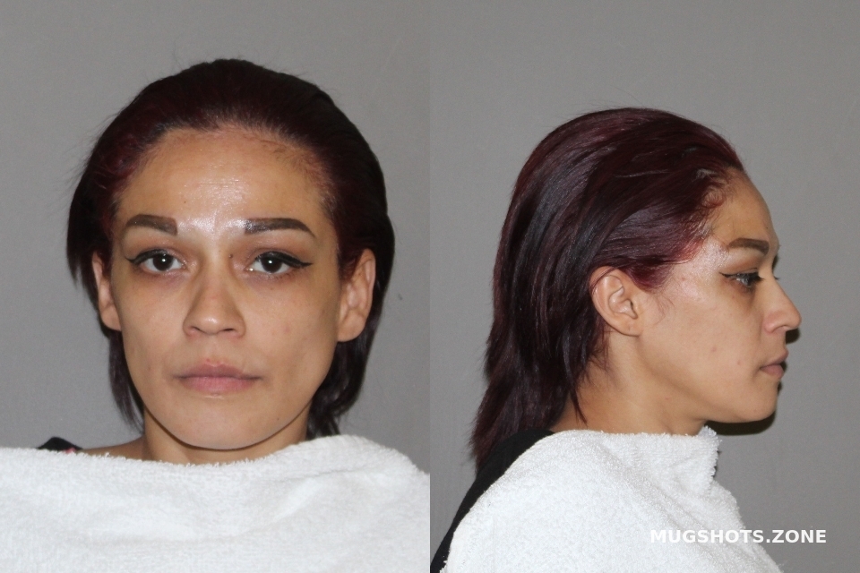 NEGRON HEIDI EVELYN 06/24/2021 - Denton County Mugshots Zone