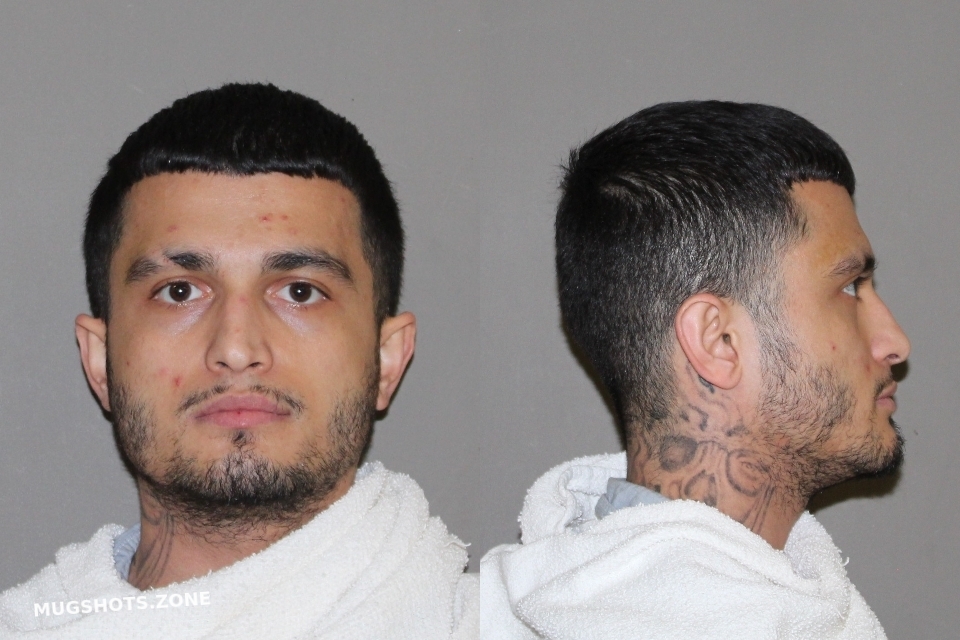 ABBASPOUR SHAYAN 12/02/2021 - Denton County Mugshots Zone