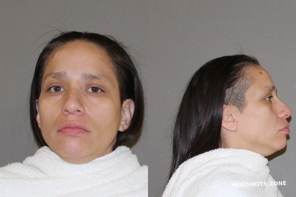 REYES LAURA ROXANN 03/14/2022 - Denton County Mugshots Zone