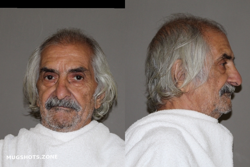 AYROM MEHDI 04/15/2022 - Denton County Mugshots Zone