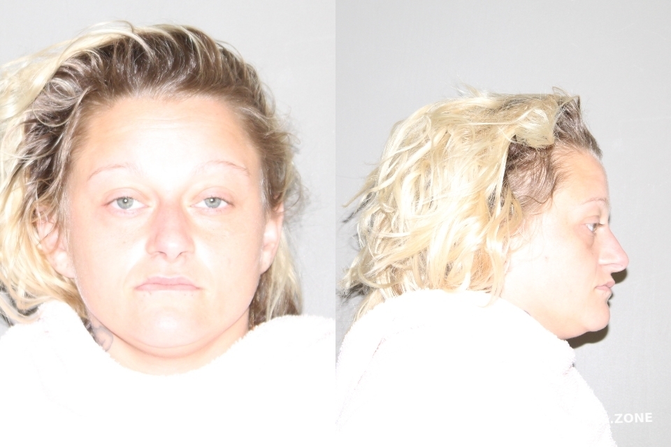 DOTSON STEVIE RUTH 09/09/2022 - Denton County Mugshots Zone