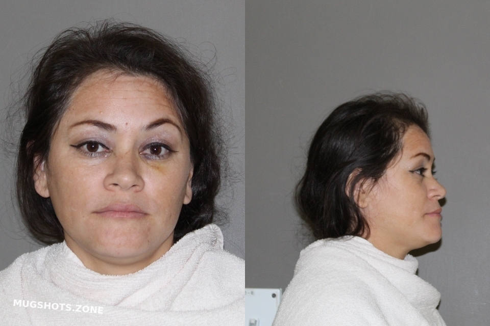 PORTILLO MACHADO ROSA MAGDALENA 10/24/2022 - Denton County Mugshots Zone