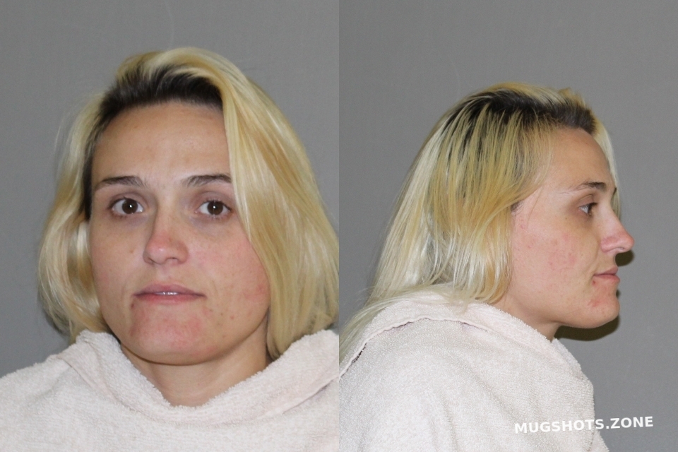 THREADGILL PATRICIA ANN 11/20/2022 - Denton County Mugshots Zone