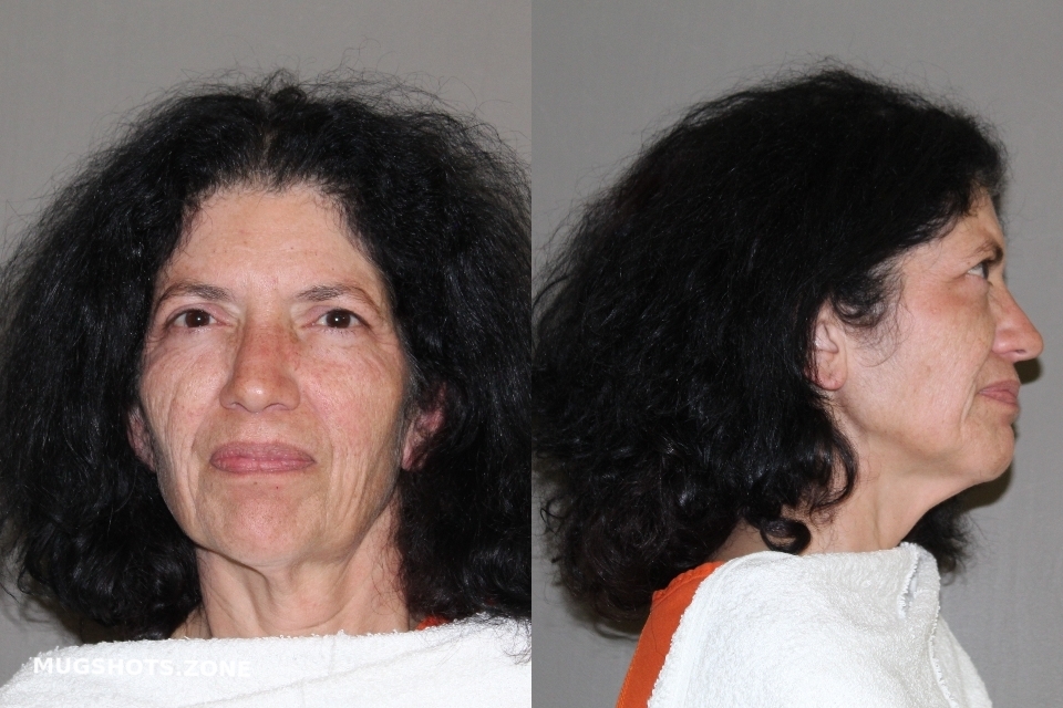 HARTLAUB LISA ANNE 12/21/2022 - Denton County Mugshots Zone