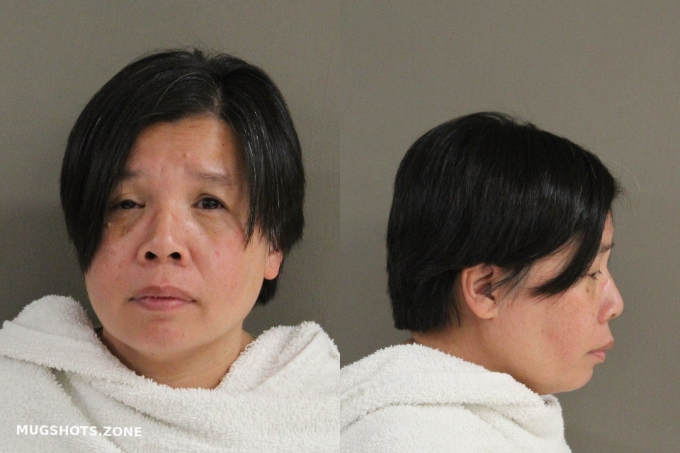 PHAN LIEU 01/12/2023 - Denton County Mugshots Zone