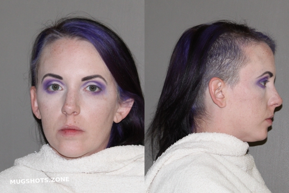 HARRISON JERI ANN 02/11/2023 - Denton County Mugshots Zone