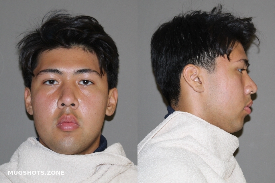 ZAMANI ARMAN YE CHAN 02/25/2023 - Denton County Mugshots Zone