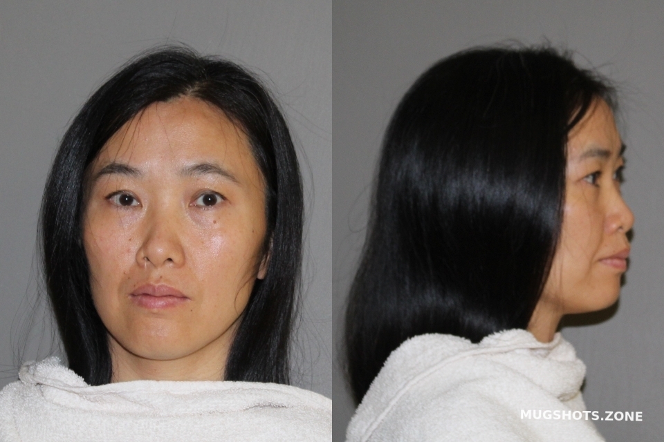 WU HONGYAN 03/01/2023 - Denton County Mugshots Zone
