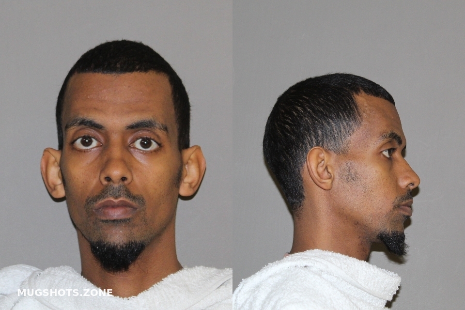 HAILU JONATHAN MENGISTU 03/15/2023 - Denton County Mugshots Zone