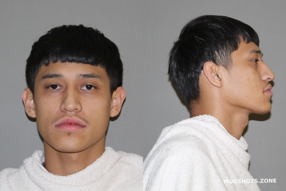 FLORES ANTHONY RENEE 03/28/2023 - Denton County Mugshots Zone