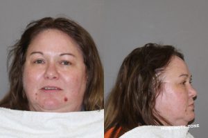 DANFORD DEANNA MICHELLE 08/15/2023 - Denton County Mugshots Zone