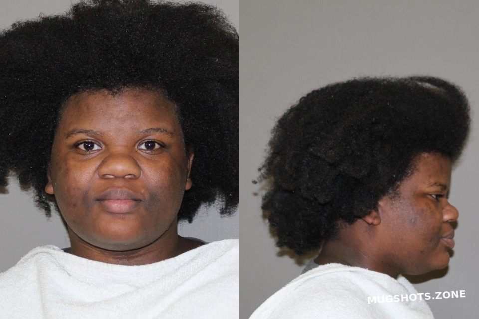 HARDISON BRITNE MICHELLE 09/19/2023 - Denton County Mugshots Zone