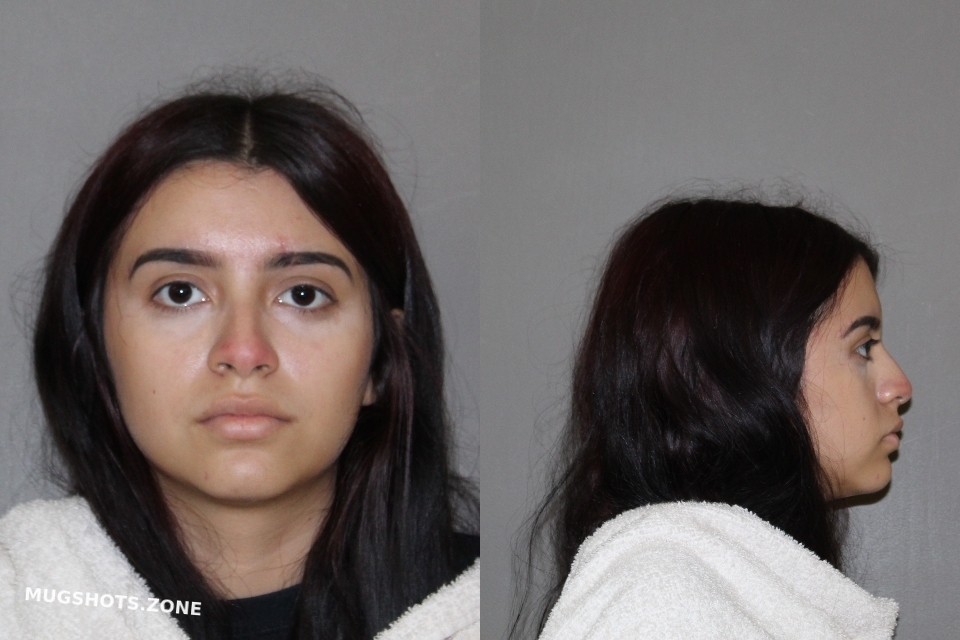HUERTA REBECA 11/14/2023 - Denton County Mugshots Zone