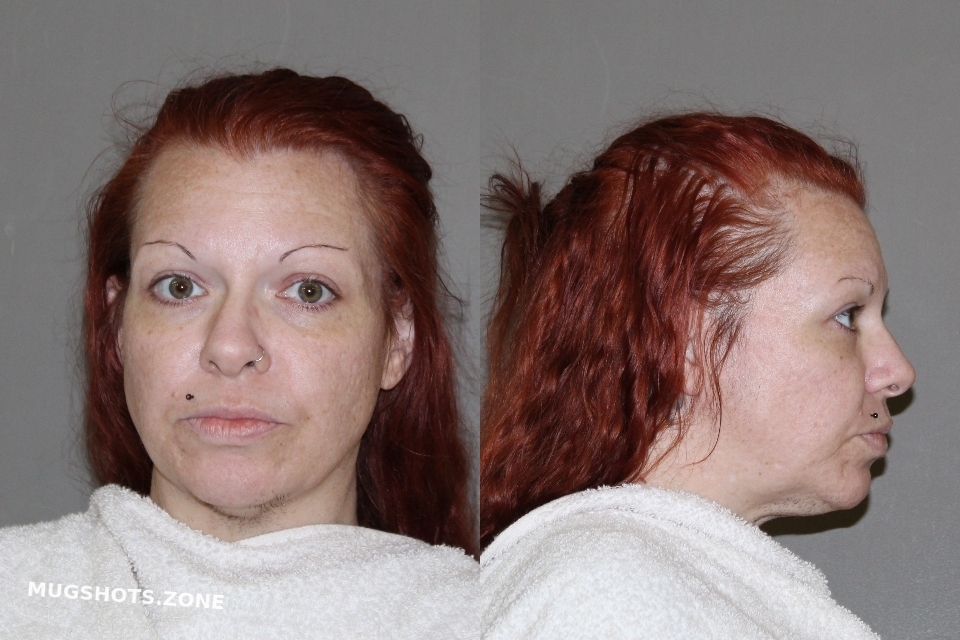 WILCOX SHEENA LOUISE 12/21/2023 - Denton County Mugshots Zone