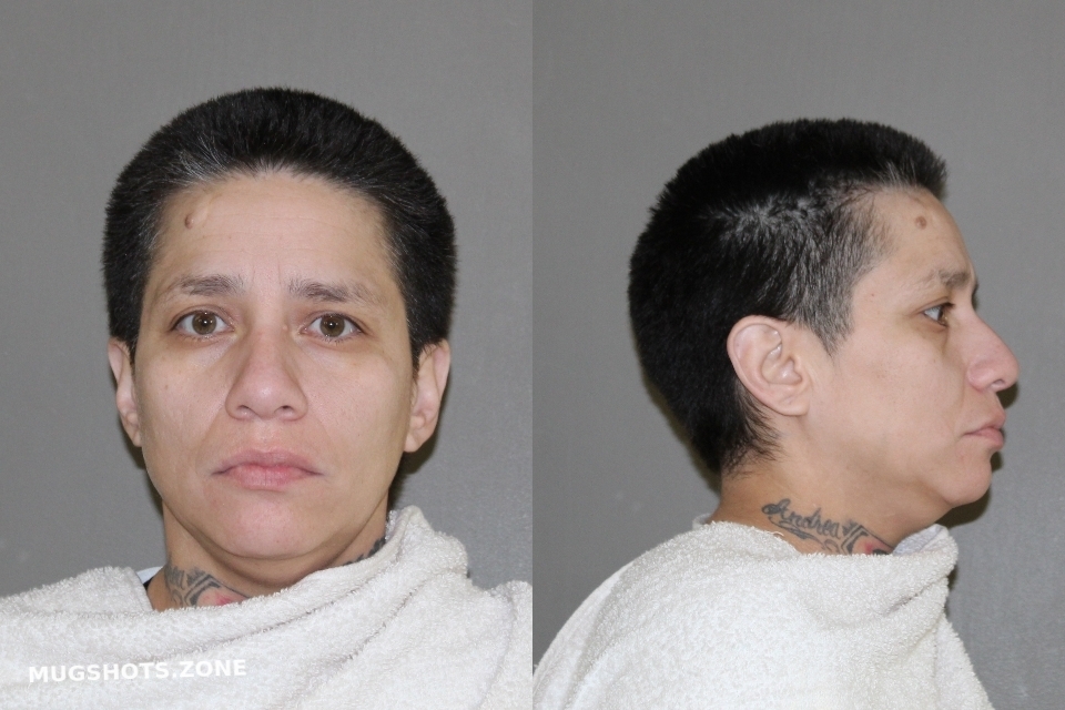 REYES LAURA ROXANN 12/30/2023 - Denton County Mugshots Zone