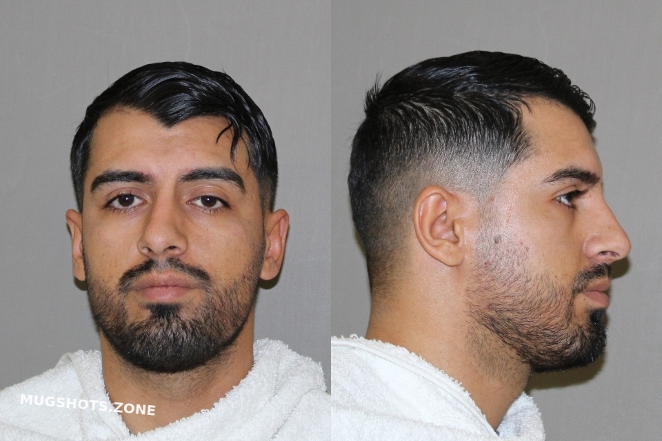 TOMESCU ANDREI 01/18/2024 - Denton County Mugshots Zone