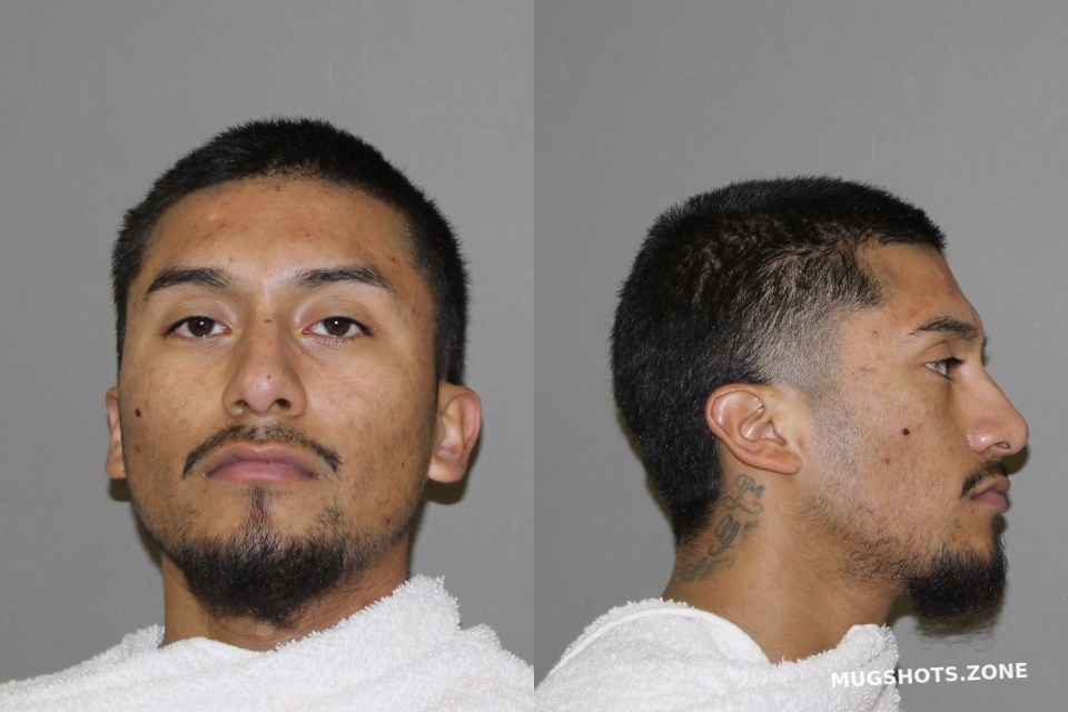 SALAZAR ADDISON 01/23/2024 - Denton County Mugshots Zone