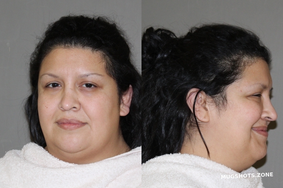 GAMBOA ADRIANNA ELIZABETH 02/01/2024 - Denton County Mugshots Zone