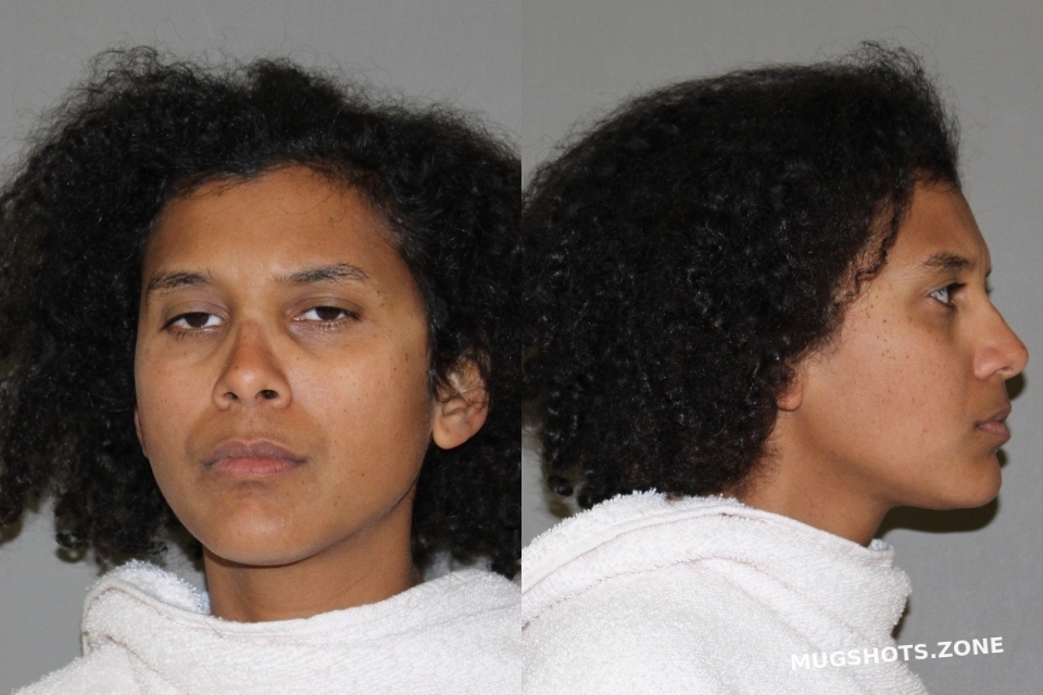 WARD SARAH ELIZABETH 02/03/2024 - Denton County Mugshots Zone