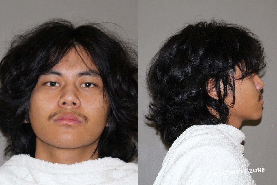 THANG SIANG LENG 03/07/2024 - Denton County Mugshots Zone