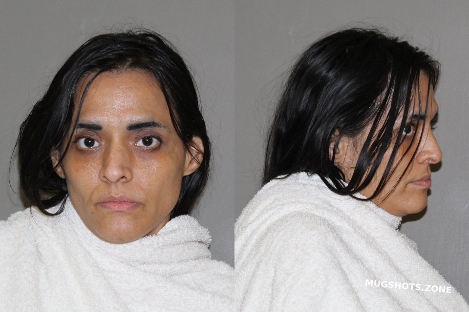 RITTER KELLI DIANE 03/24/2024 - Denton County Mugshots Zone