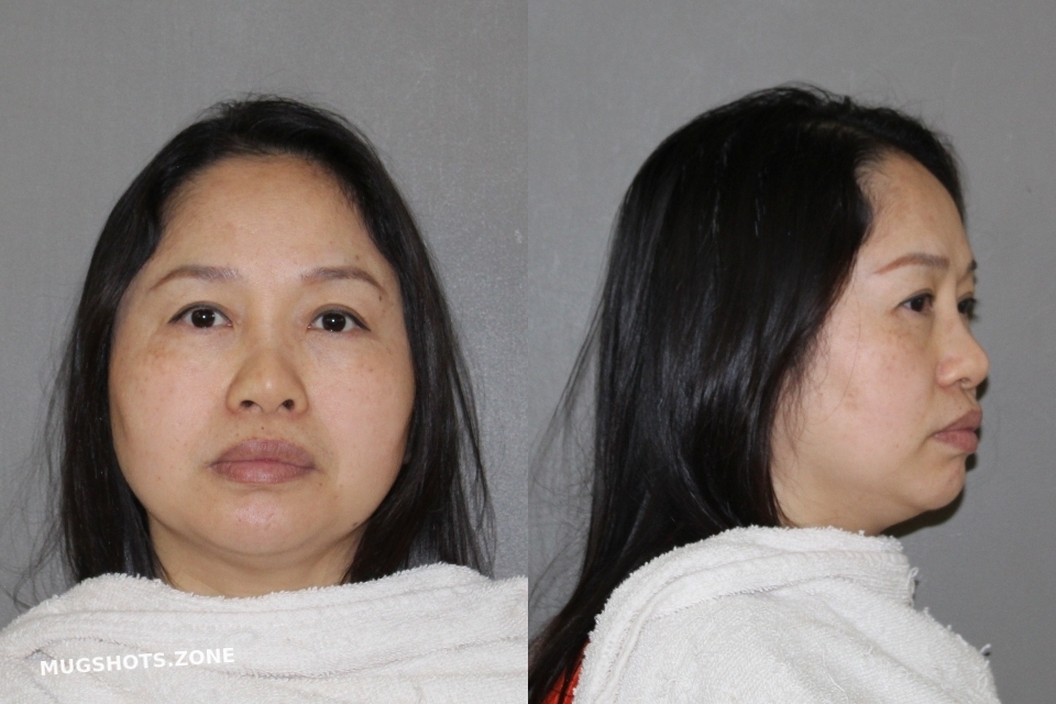 Xi Lin 04 03 2024 Denton County Mugshots Zone
