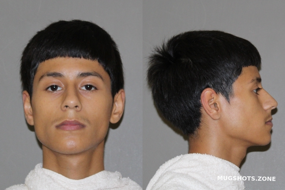 SEGOVIA NATHAN DANIEL 08/21/2024 - Denton County Mugshots Zone