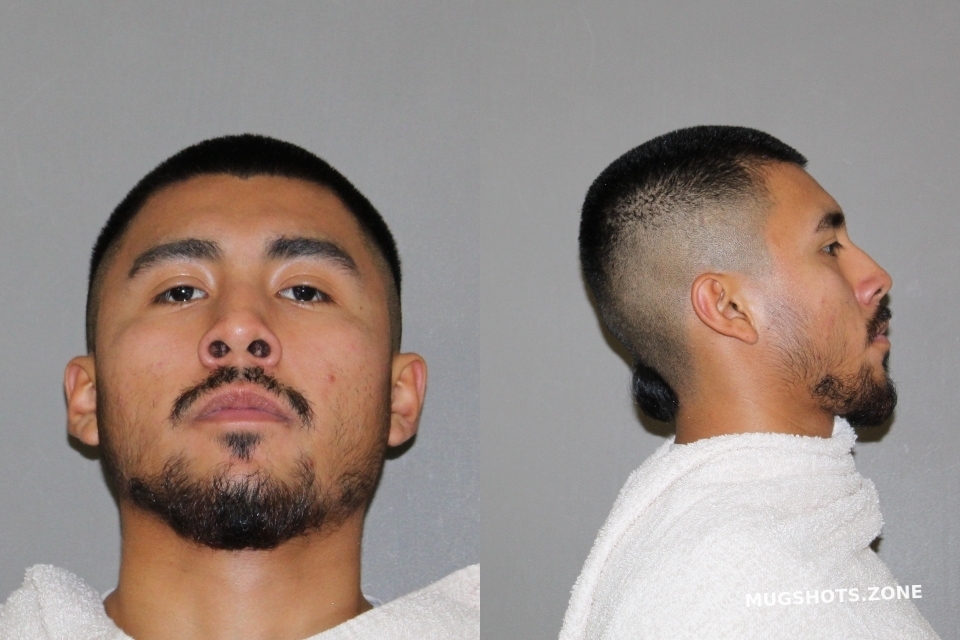 TREJO LUIS RICARDO 08/22/2024 - Denton County Mugshots Zone