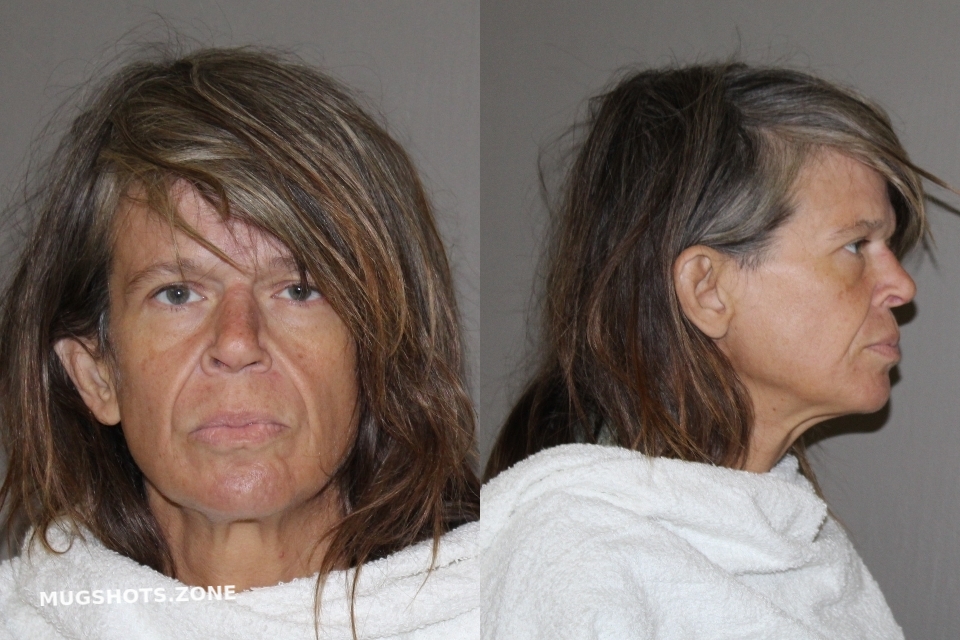 LECEI SUSAN KIMBERLY 09/27/2024 - Denton County Mugshots Zone