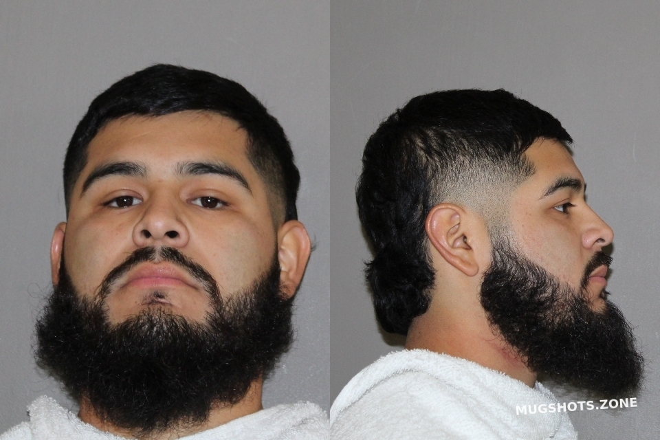 REYES CEZAR MICHAEL 10/19/2024 - Denton County Mugshots Zone