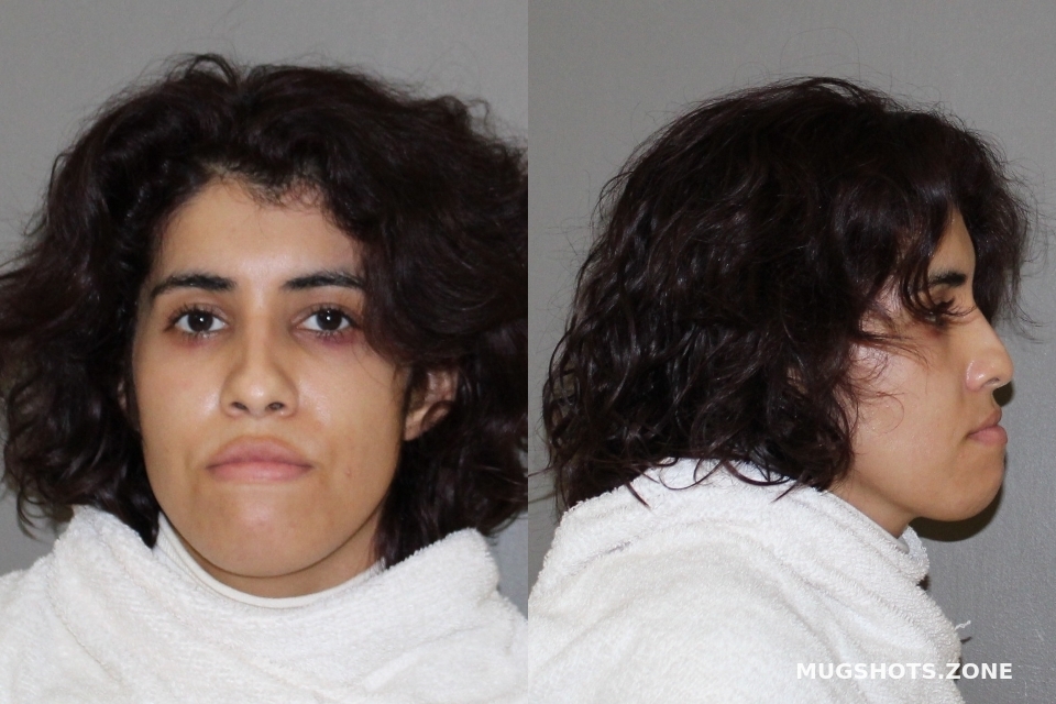 LOSOYA SARAH ALYSE 10/20/2024 - Denton County Mugshots Zone