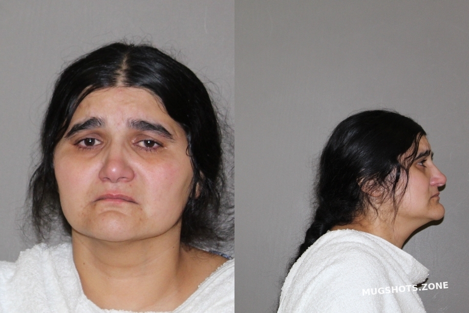 IANCU IOANA CATI 11/07/2024 - Denton County Mugshots Zone