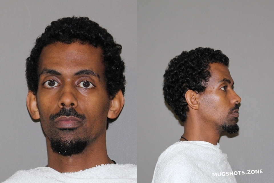 HAILU JONATHAN MENGISTU 11/07/2024 - Denton County Mugshots Zone