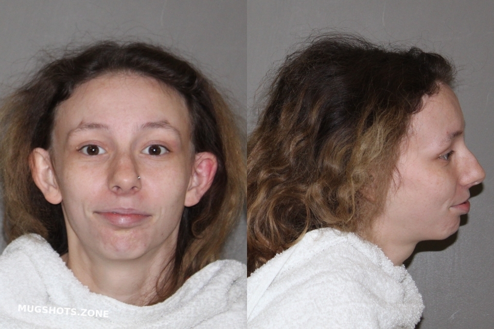 LEE LANAH FAYE 11/21/2024 - Denton County Mugshots Zone