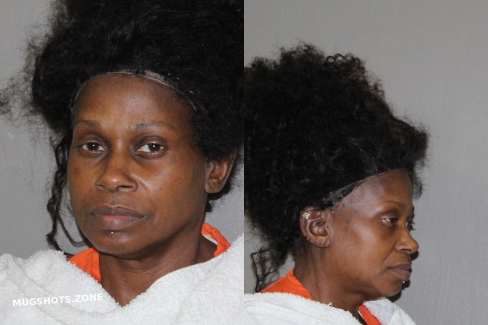 LAWSON CATRINA MICHELLE 11/22/2024 - Denton County Mugshots Zone