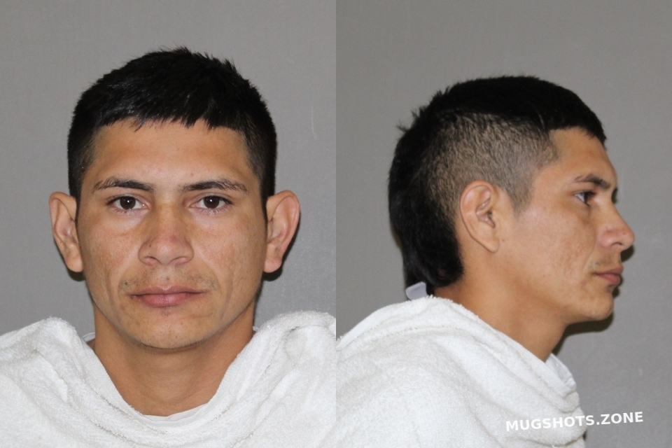 ORTEGA-CASTILLO ALDRIN OMAR 11/29/2024 - Denton County Mugshots Zone