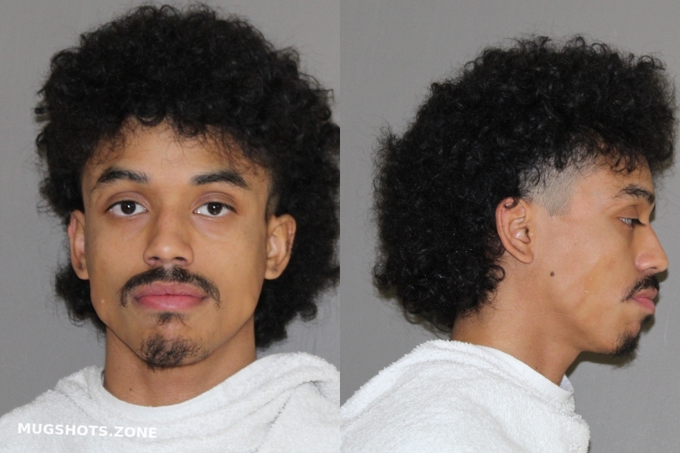RICHARDSON ISAIAH KALEB 12/02/2024 - Denton County Mugshots Zone
