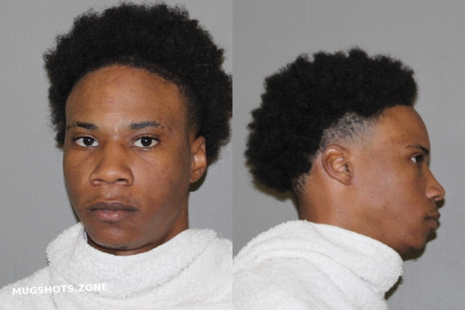 WILLIAMS DOMINIQUE DASHON 12/07/2024 - Denton County Mugshots Zone